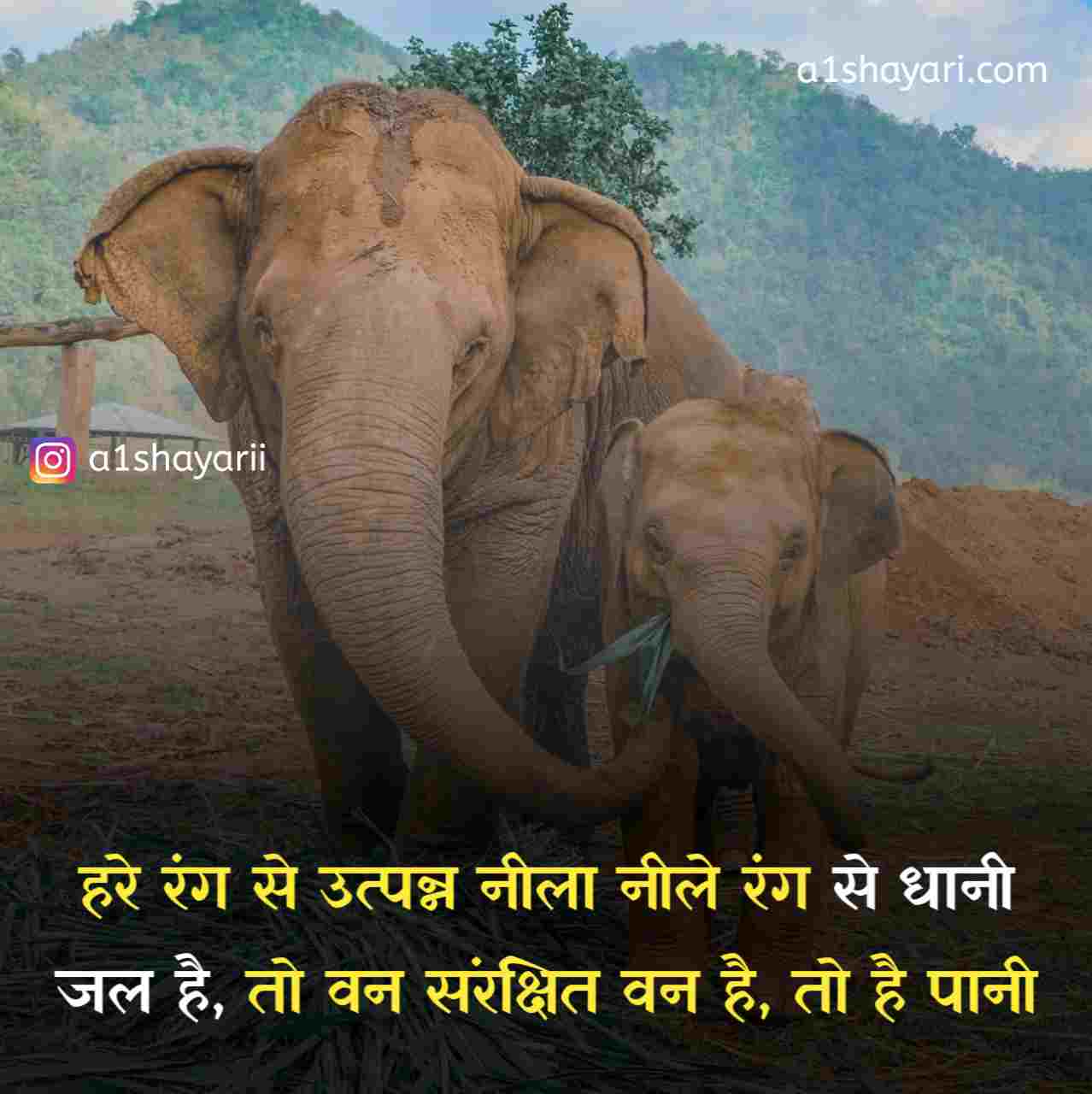 Nature Shayari In Hindi With Images – a1shayari.com